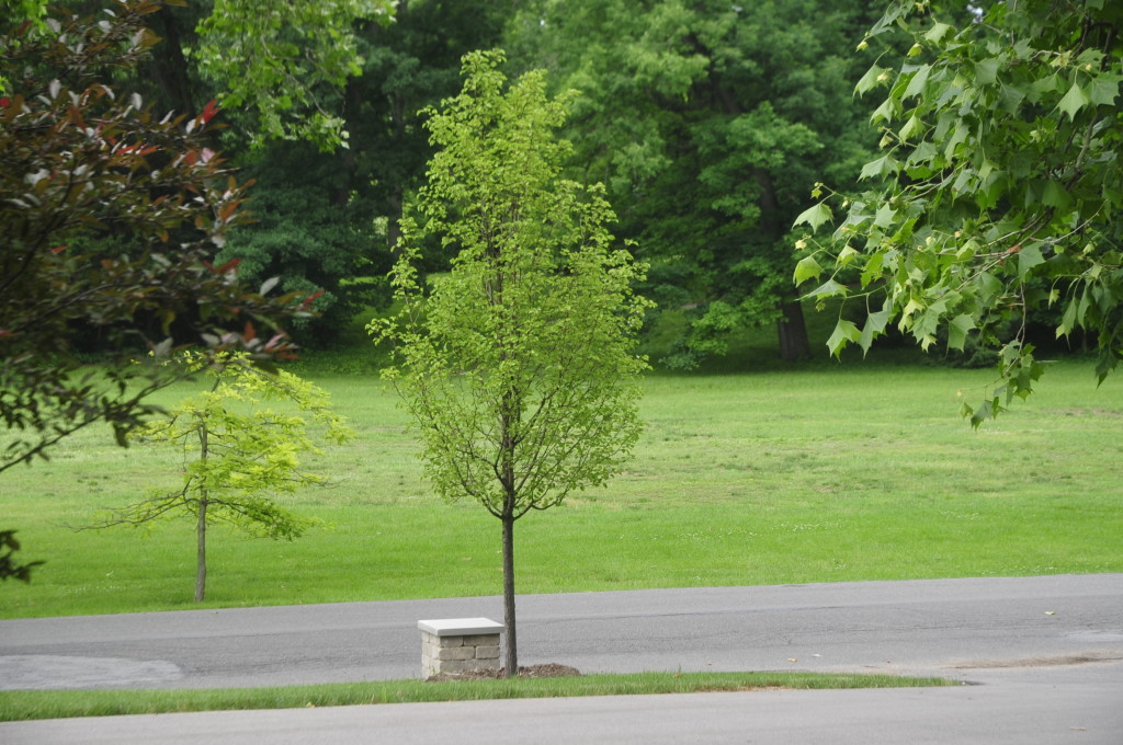 History of Holy Cross | Holy Cross Associates